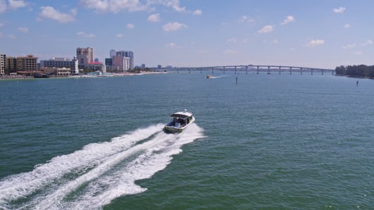 Custom Clearwater Charters: Craft Your Memory | BigAngler